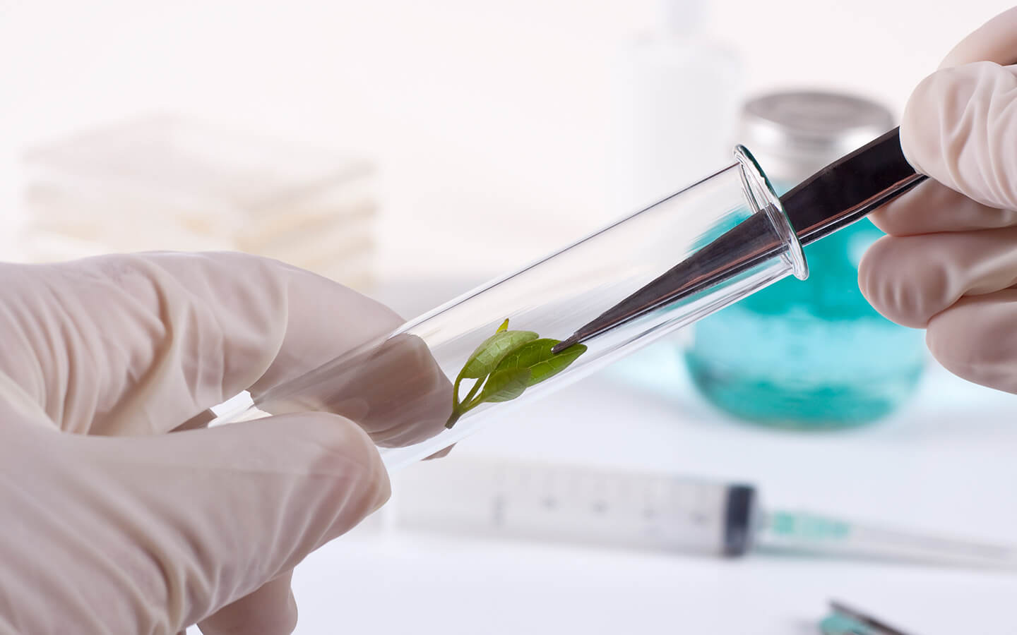 DArT - DNA extraction services | Plants, crops, seeds & animals