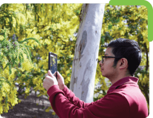 Diversity Arrays Technology | Genotyping & data analysis experts