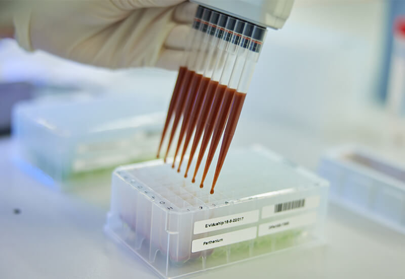 DArT - DArTreseq | Genome analysis services