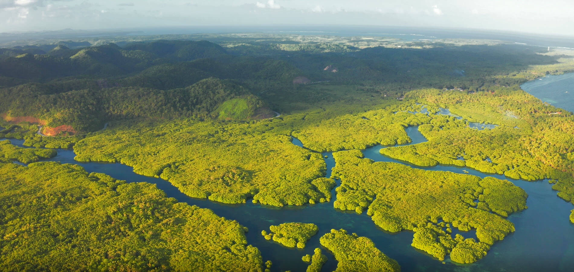 DArT - Our Mission | Genotyping for food security & biodiversity